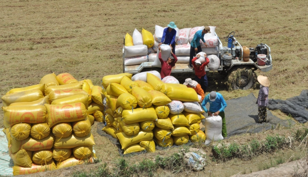 Vựa lúa ĐBSCL với mục tiêu giảm phát thải – bán tín chỉ carbon